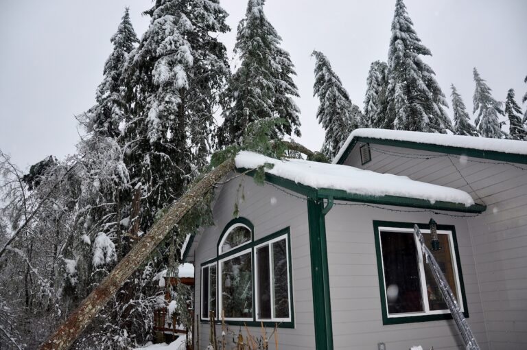 Wind Damage To Roof: 7 Common Signs & What To Do Next